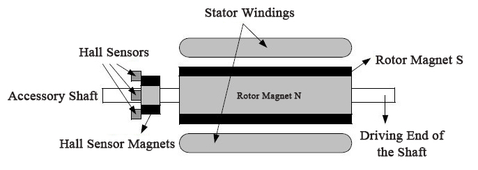 Brushless DC Motor Structure